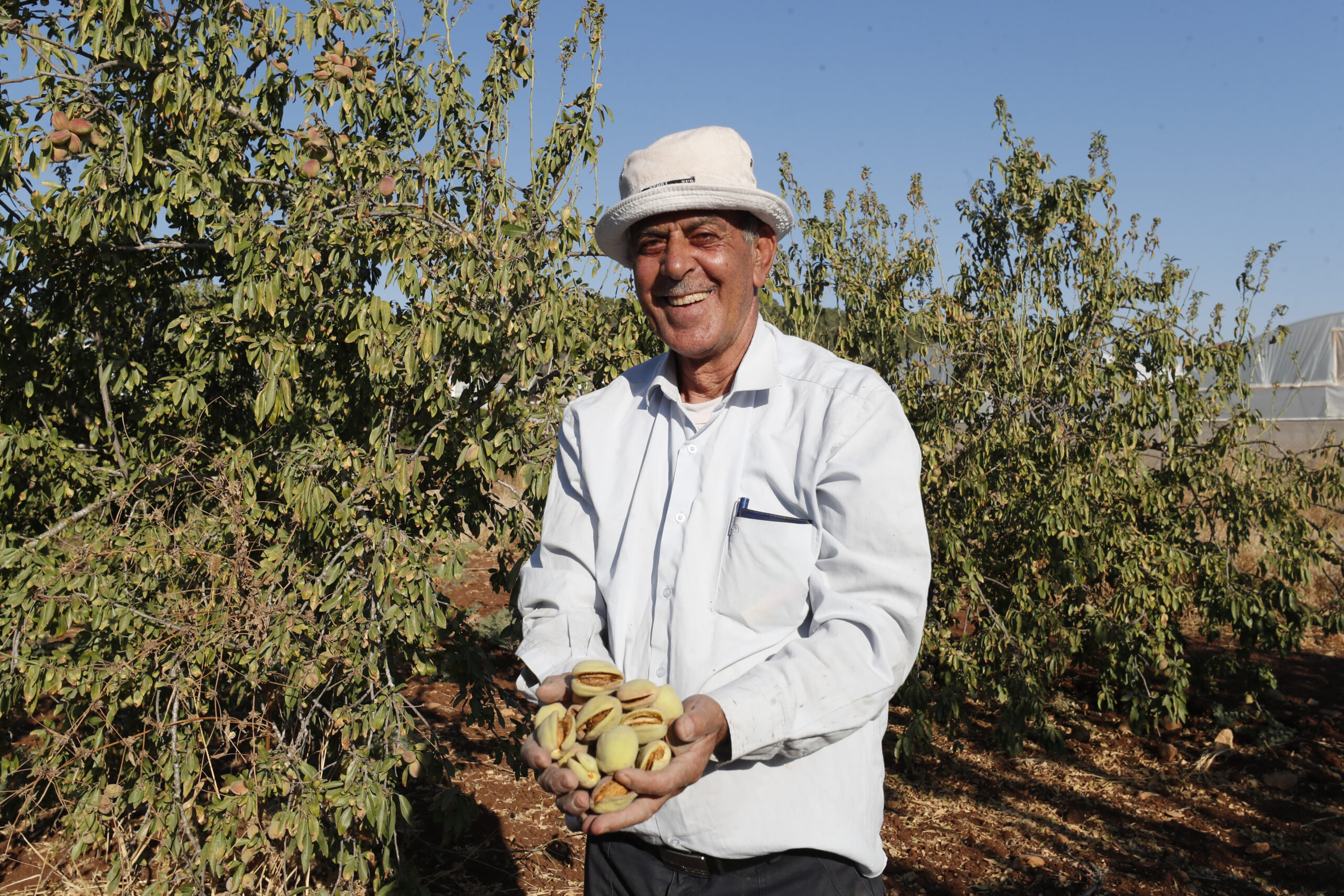 Elayan Abu Arra - Zaytoun