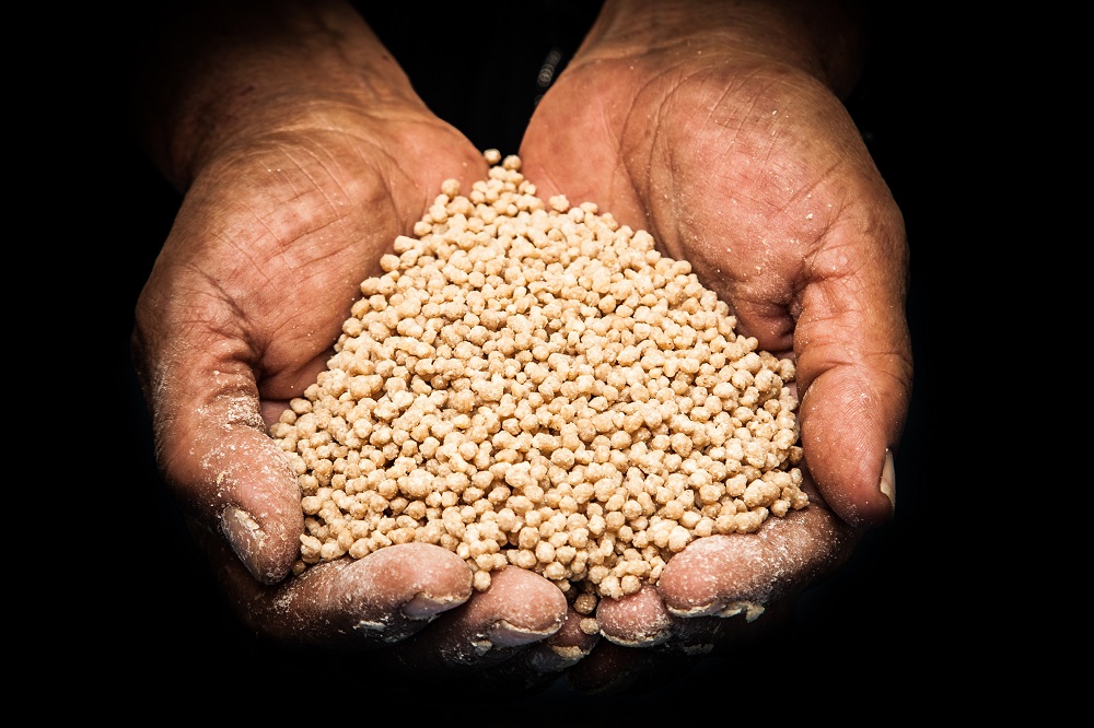 Palestinian Maftoul Giant Couscous Zaytoun