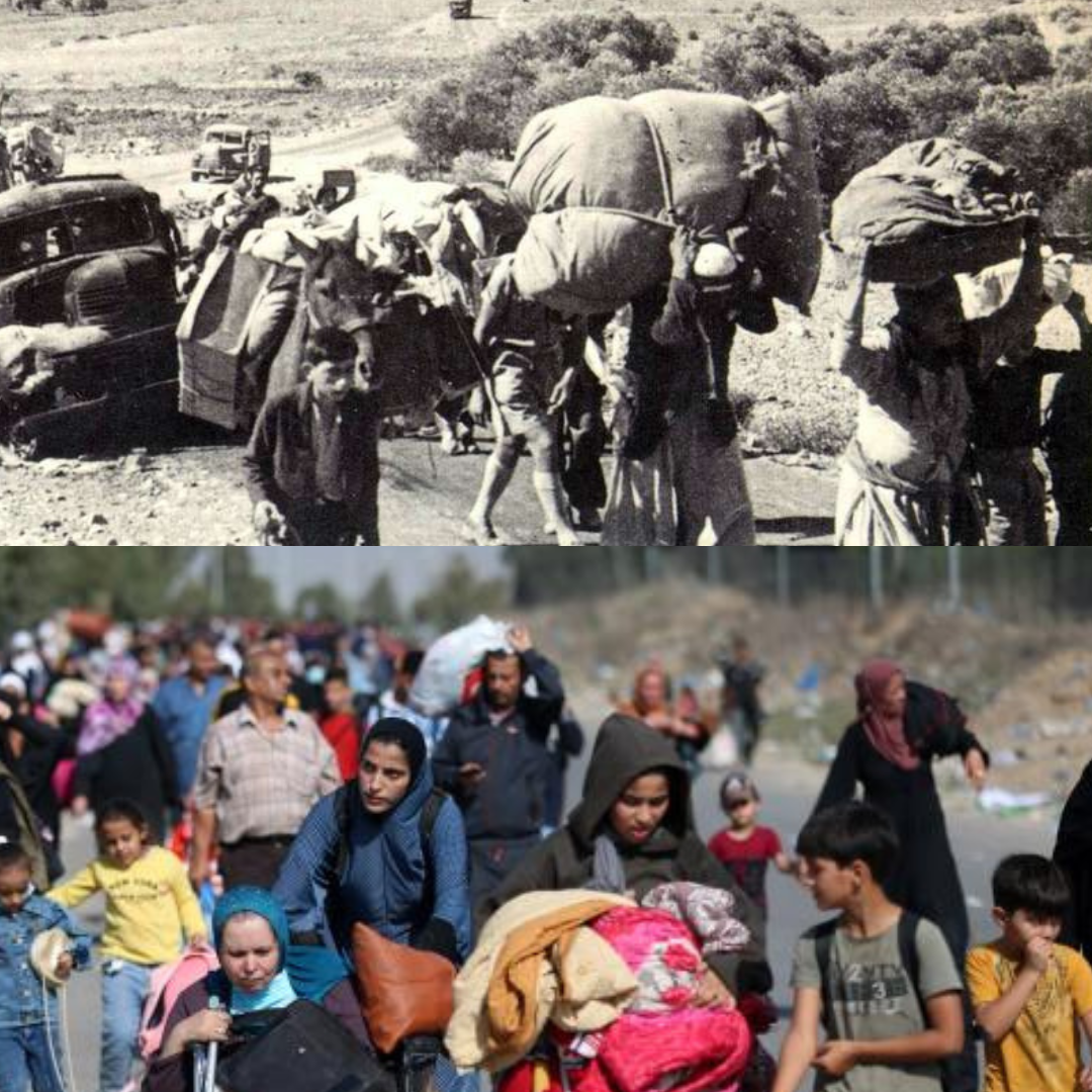 Nakba - 76 years on - Zaytoun