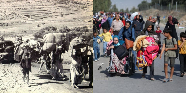 Nakba - 76 years on - Zaytoun